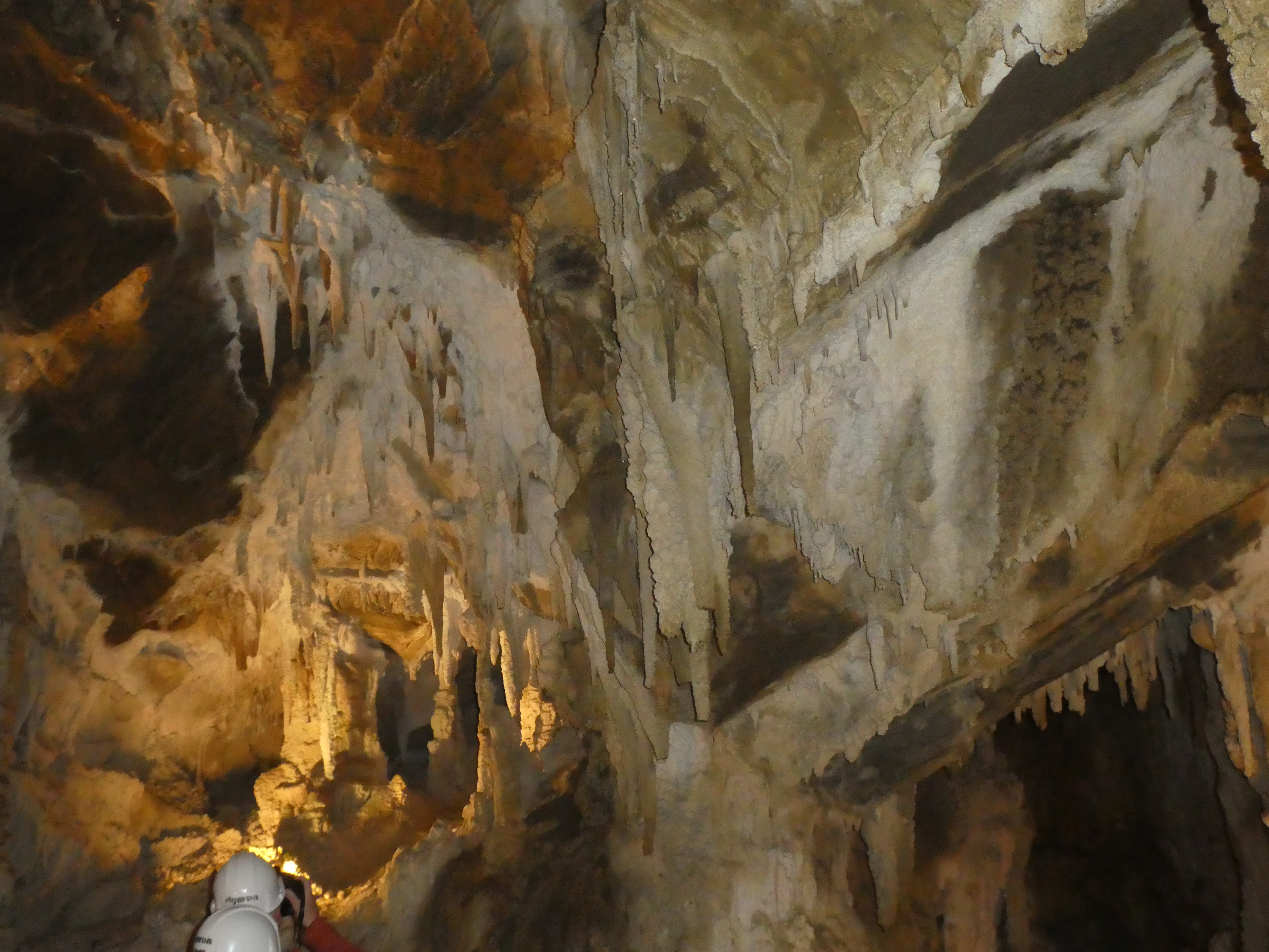 Ngarua Caves – Away From Home NZ